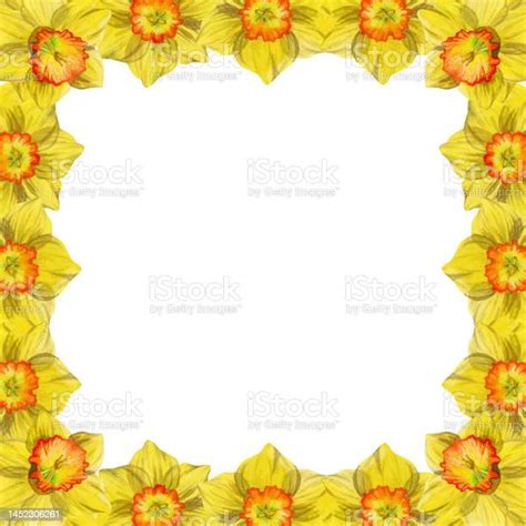 수채화 손으로 그린 사각형 프레임에는 봄 꽃 수선화 헌병 나뭇가지 나뭇잎이 있습니다 흰색 배경에 격리 초대장 결혼식 인사말 카드 벽지 인쇄 섬유 디자인 0명에 대한 스톡