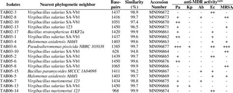 16s Rdna Based Sequence Similarity Blast And Antibacterial Activities Download Scientific