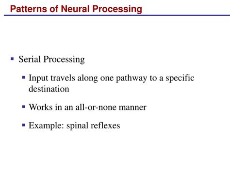 Ppt Synapses Powerpoint Presentation Free Download Id2972942