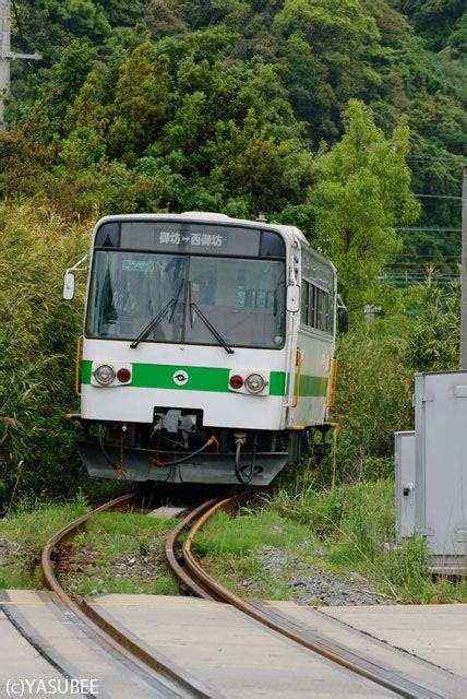 Yasubee S