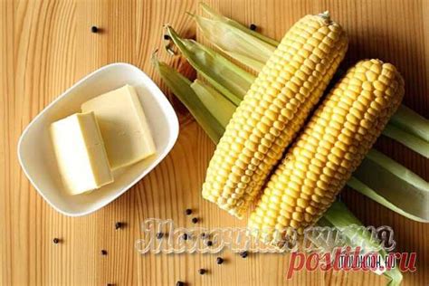 Как варить кукурузу правильные рецепты варки кукурузных початков в к заготовки Постила