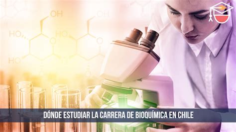 Dónde Estudiar La Carrera De Bioquímica En Chile Guía 2026