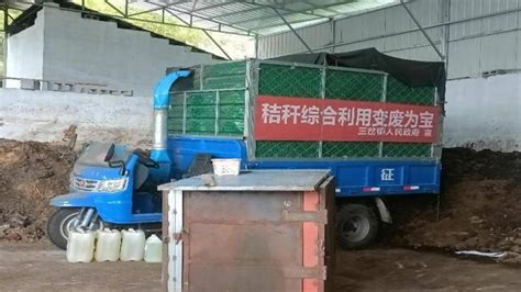 让生态包袱变身绿色财富 湖大学子调研秸秆综合利用新模式 多彩大学生网