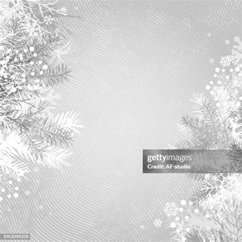272 Forrest Background Grey High Res Illustrations Getty Images