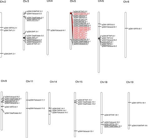 Map Positions Of Qtl For Folate Monoglutamates In Ril Population Download Scientific Diagram