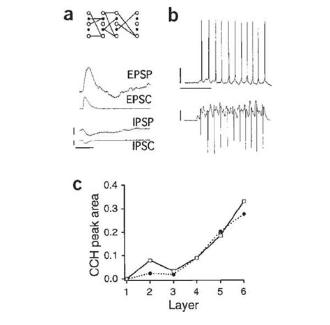 Synchrony Dependent Propagation Of Firing Rate In Iteratively Constructed Networks In Vitro