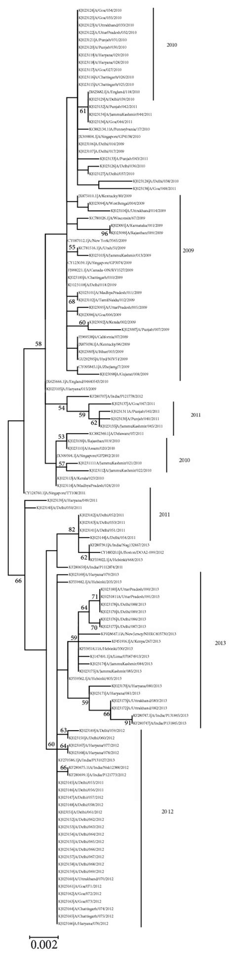 Phylogenetic Tree Of Influenza A H1n1 Virus Based On Ns1 Gene Download Scientific Diagram