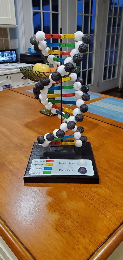 Science Models For Exhibition
