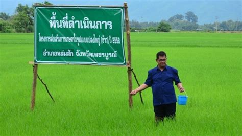 ก เกษตรฯ ชี้เกษตรแปลงใหญ่ลดต้นทุนกว่า 3 พันล้าน พร้อมประกาศแปลงใหญ่ดีเด่นปี 61