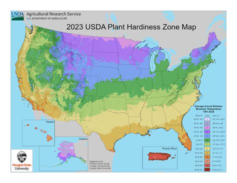 Us Planting Zones 2025 James J Benson Us Planting Zones 2025 James J Benson