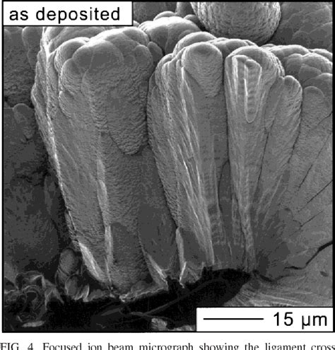 Figure 4 From Synthesis Of Open Cell Metal Foams By Templated Directed Vapor Deposition