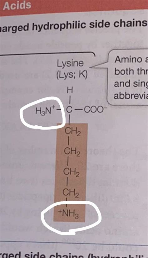 Biochemistry High School R Biochemistry