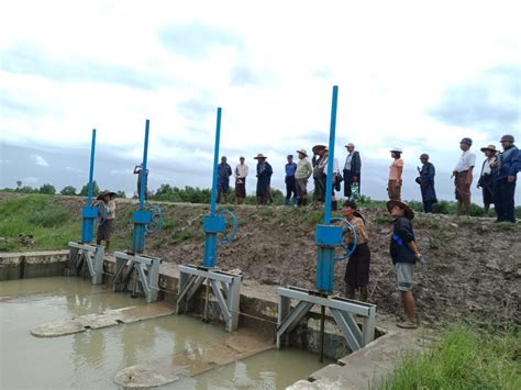 ငပု တောမြို့နယ်၊ ဇီးဖြူဆိပ် ကျေးရွာအုပ်စု၊ ဇီးဖြူဆိပ် ကျေးရွာတွင် မိုးစပါးစိုက်ဧကများ ရေကြီးနစ်မ