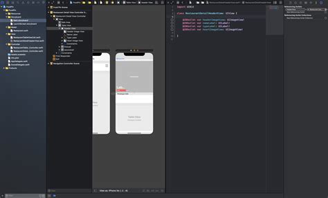 Cant Establish Connection Between Uiview Subclass And Iboutlets R