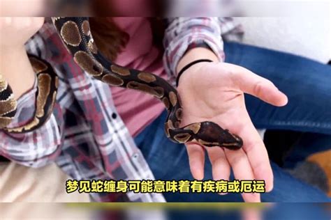 传统文化中，女性梦见蛇是什么预兆？