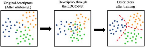 Schematic Diagram Of The Ldgc Net In Action Descriptors On Hard Download Scientific Diagram