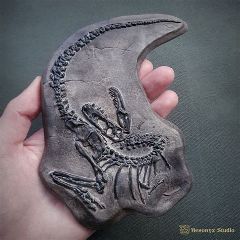 Small Tyrannosaurus Rex Gorgosaurus T Rex Fossil Replica Etsy