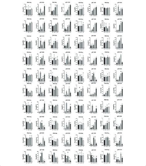 Deg Expression Levels In Pdpap Based On Rna Seq And Qrt Pcr Download Scientific Diagram
