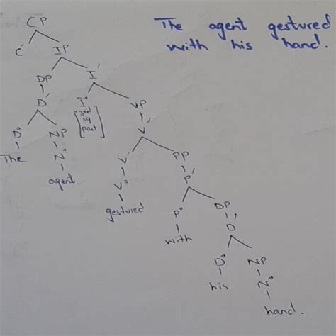 PP Adjuncts In A Tree Diagram One Is Setting Up A Video On A Tripod Download Scientific