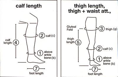 Mediven Fitting Instructions