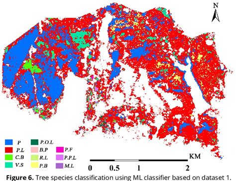 Figure 6 From Tree Species Classification Using Machine Learning