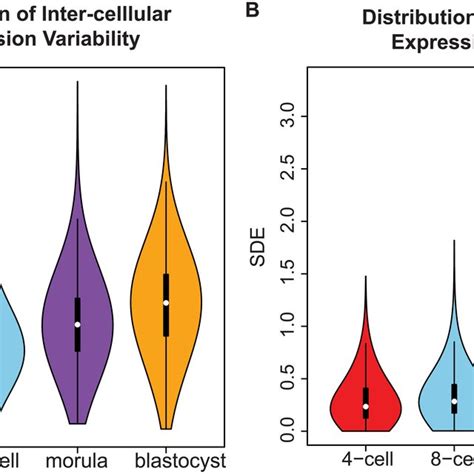 Distribution Of Gene Expression Variability During Embryonic