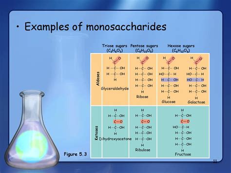 The Structure And Function Of Macromolecules Ppt Download