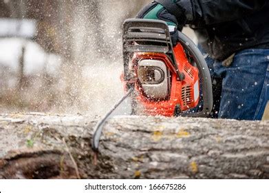 Trees Cutting Images Stock Photos Vectors Shutterstock