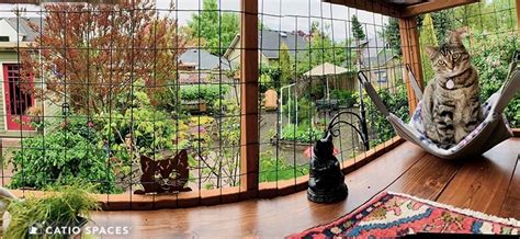 Catios For Balconies Online