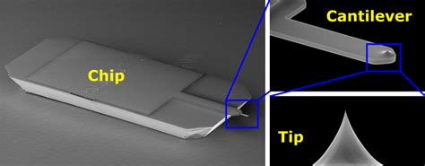 A Pedants Christmas Guide To Afm Probe Terminology — Nunano Afm Probes