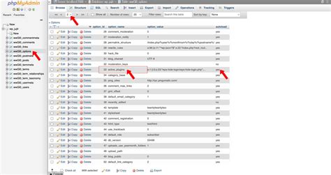 Disable Wordpress Plugins In Phpmyadmin Cloudhost Online