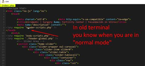 Vim Cursor Can T Be Changed Issue Microsoft Terminal GitHub