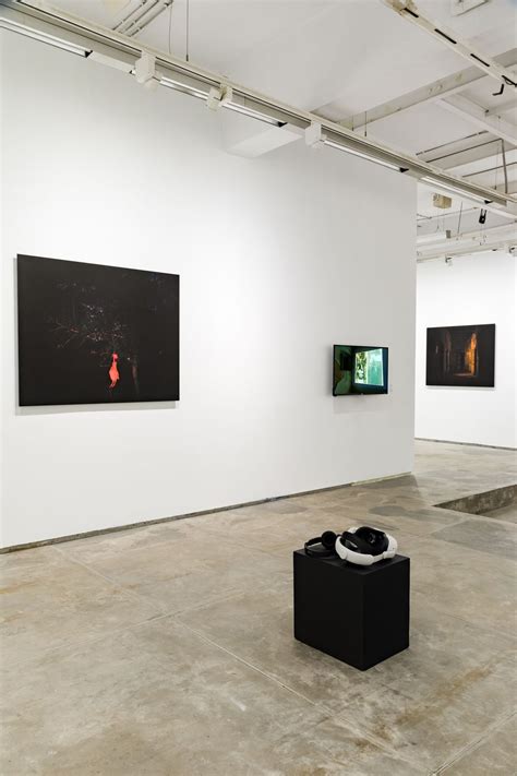 Soumya Sankar Bose A Discreet Exit Through Darkness At Experimenter Hindustan Road Kolkata