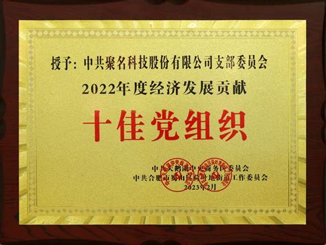 喜报 聚名科技集团党支部荣获2022年度经济发展贡献十佳党组织 聚名资讯 聚名科技