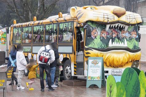 에버랜드 호랑이 5남매 새해부터 매일 만날 수 있다 서울경제