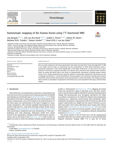 Pdf Somatotopic Mapping Of The Human Breast Using 7 T Functional Mri