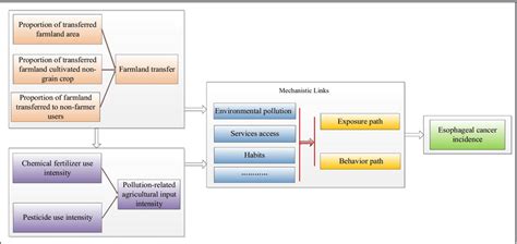 Conceptual Framework For The Potential Pathways Download Scientific