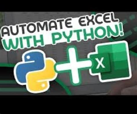 automate your task with python by rimsha analysis fiverr