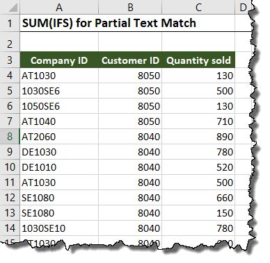 Excel SUM Based On Partial Text Match SUMIFS With Wildcards Xelplus Leila Gharani