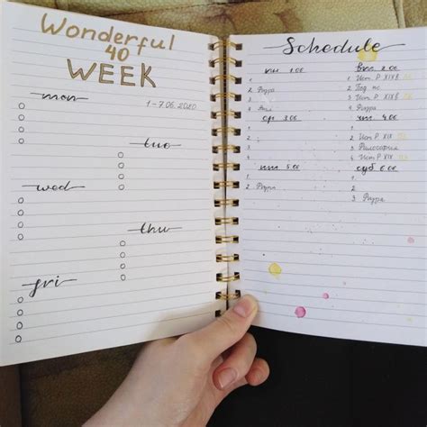 План на неделю Шаблон расписания Планировщики Планировщик жизни