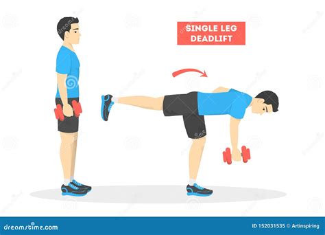 Man Doing Dead Bug Exercise Abdominals Exercise Stock Illustration 236493013