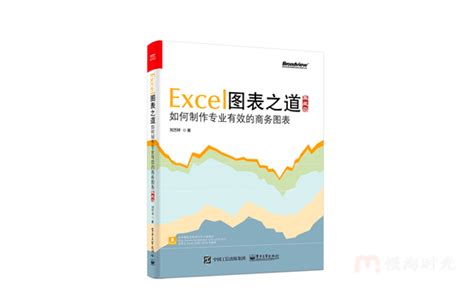 Excel图表之道：如何制作专业有效的商务图表 慢淘时光