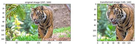 Data Augmentation Techniques