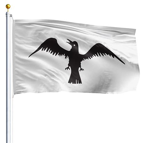 3 X 5 Raven Flag Nylon Eder Flag