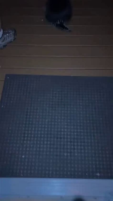 Bos Sross Postas Ifunny