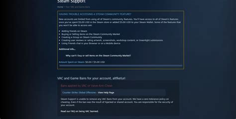 Selling Steam Account With Rust Hours Played Csgo Vac Banned