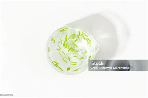 허브 식물 녹지 식물 입자 잔디 유기물 생물학 미생물학 광합성 녹색 에너지 에센셜 오일 유기농 화장품 천연 화장품 바이오 연료