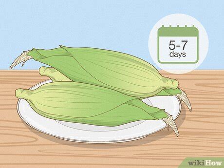 How To Tell If Corn On The Cob Is Bad Key Signs To Spot