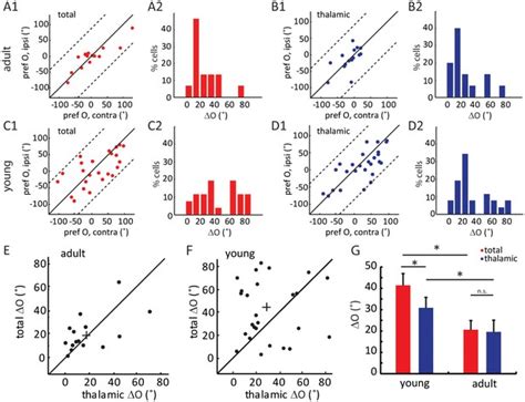 Binocular Matching Of Thalamocortical And Intracortical Circuits In The