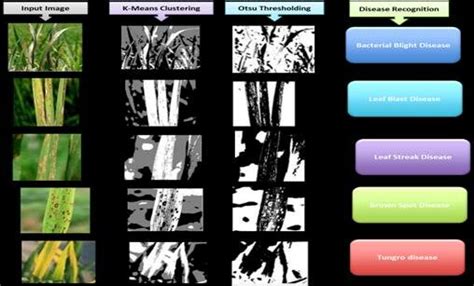 Segmentation Results For The Sample Images Download Scientific Diagram